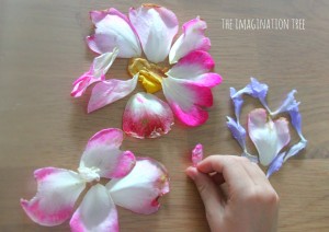 Laminated Flowers Crown and Art - The Imagination Tree